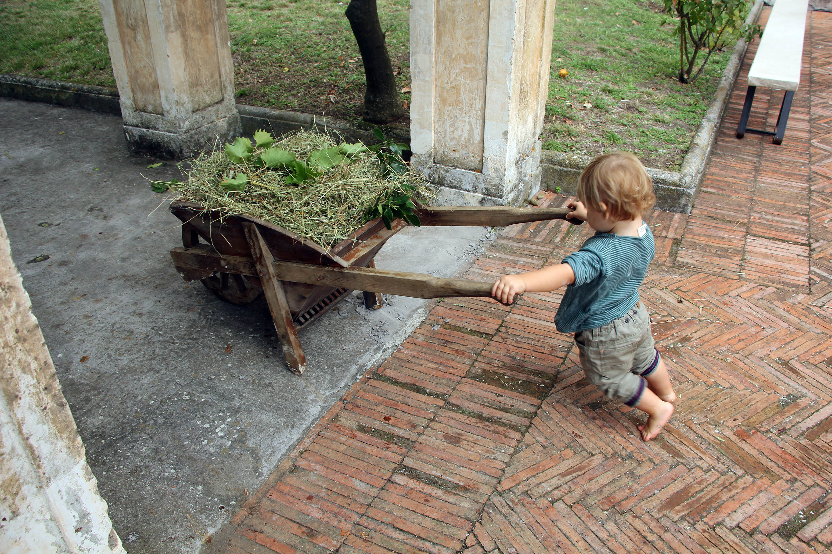 Musama’ speciale vendemmia - 2025 - Ministero della cultura