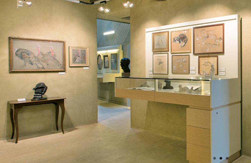 Museo Renato Brozzi - Ministero della cultura